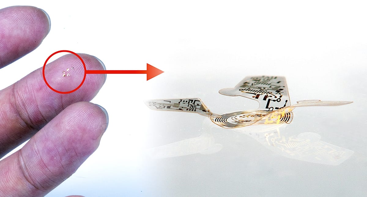 Cette "micropuce ailée" est la plus petite structure volante jamais ...